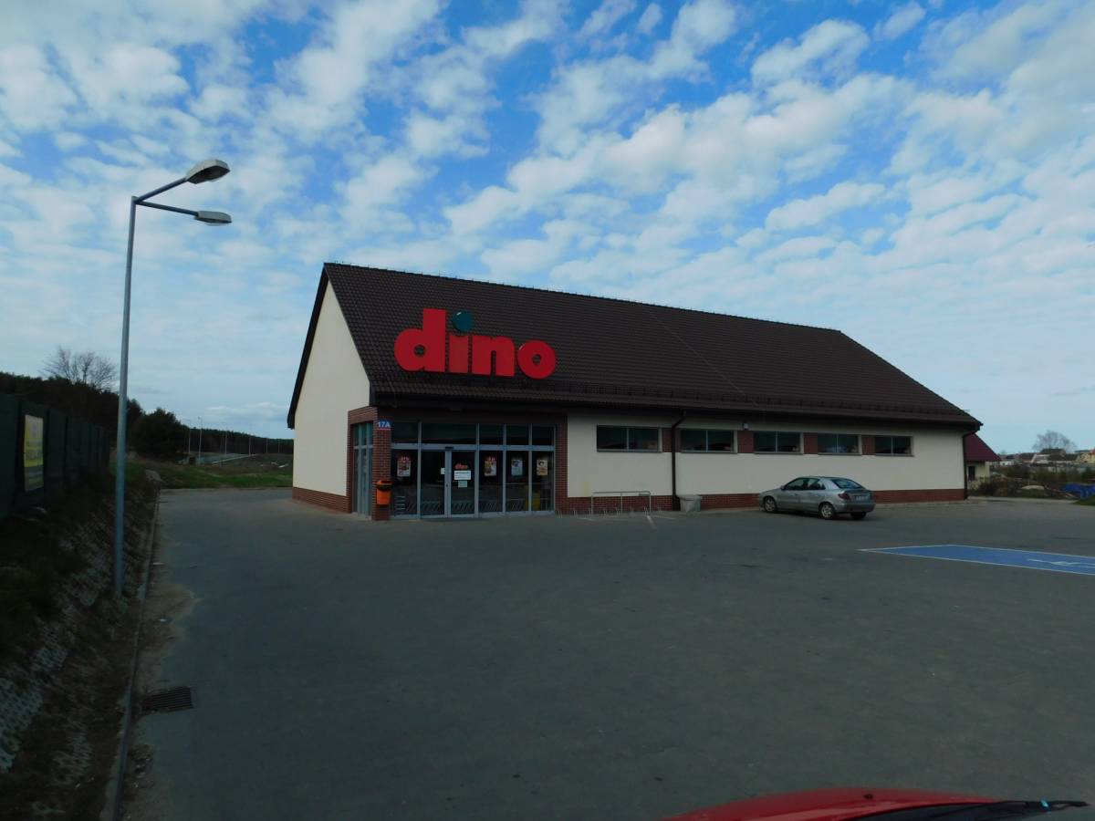 Market Dino - West is the best