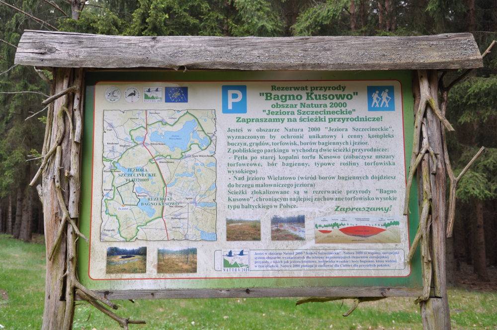 Kusowo Marsh - West is the best